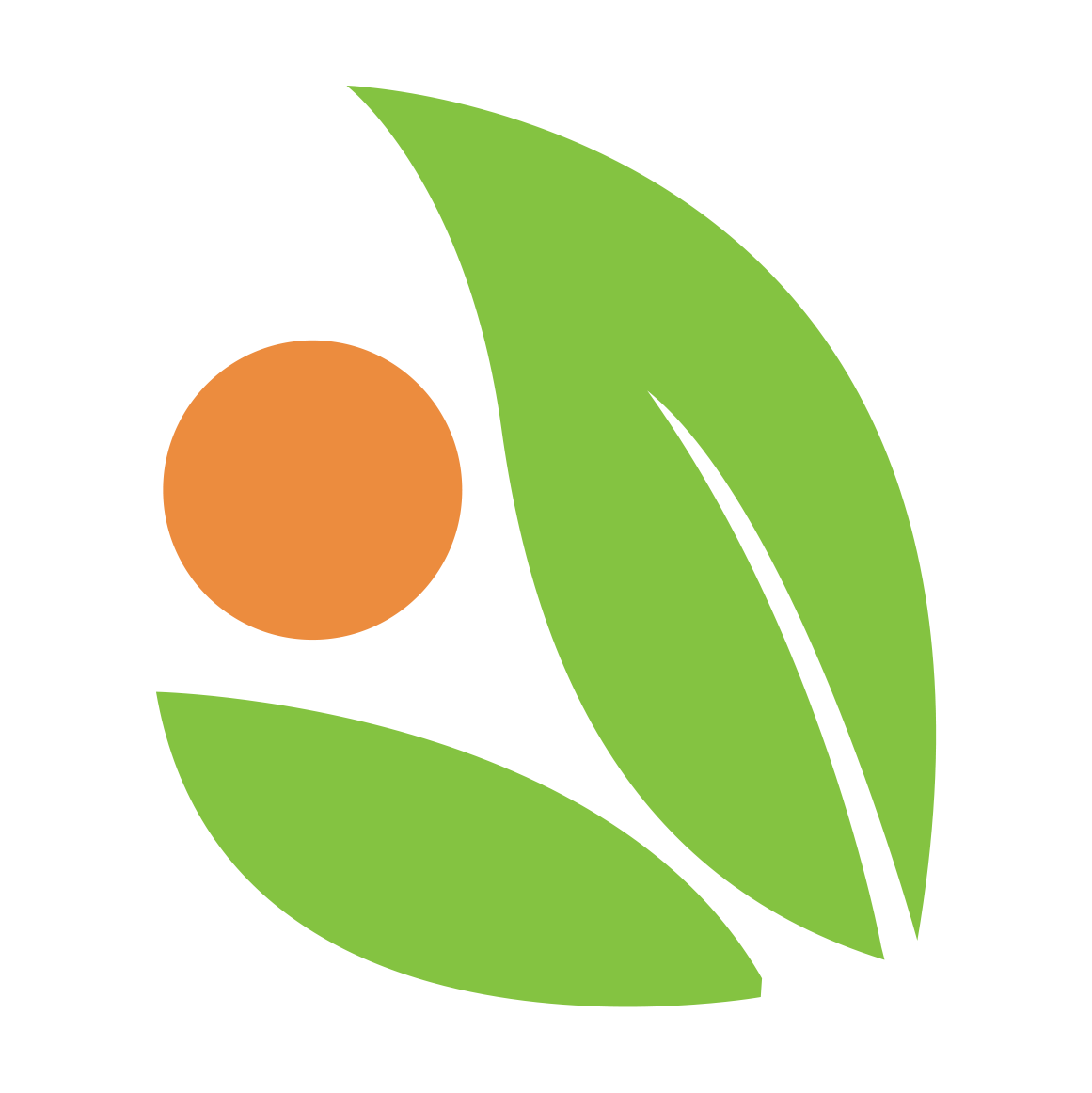 Take your health further – Real Fruits